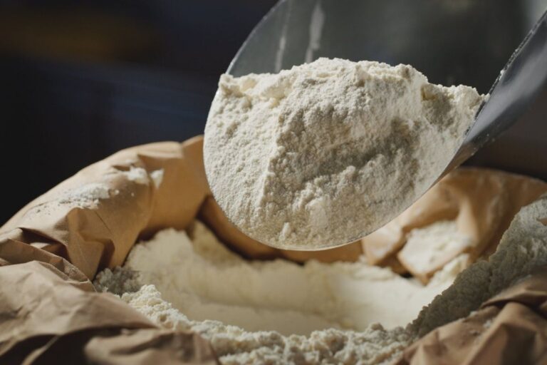 16 Different Types of Pizza Flour - Piaci Pizza